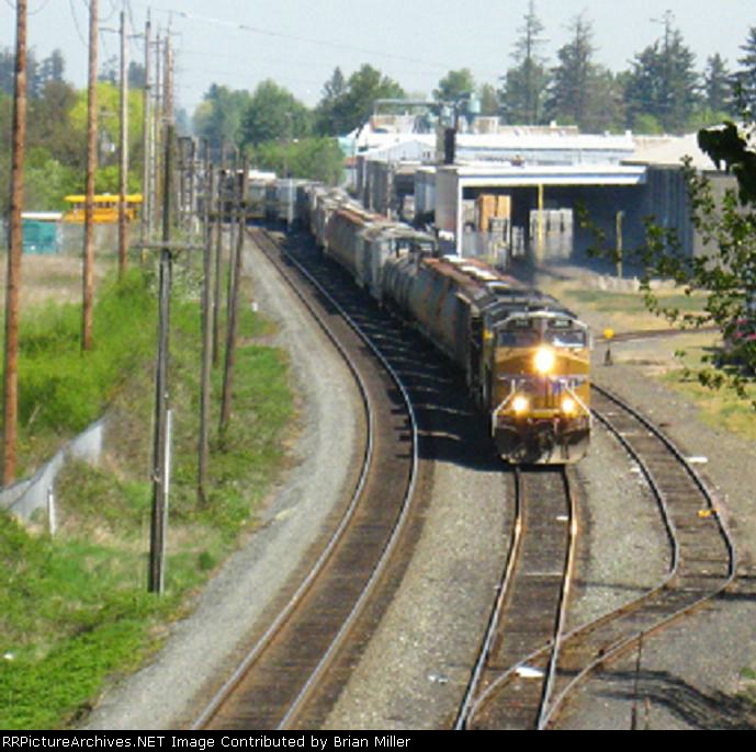 UP 5411 on the sidng